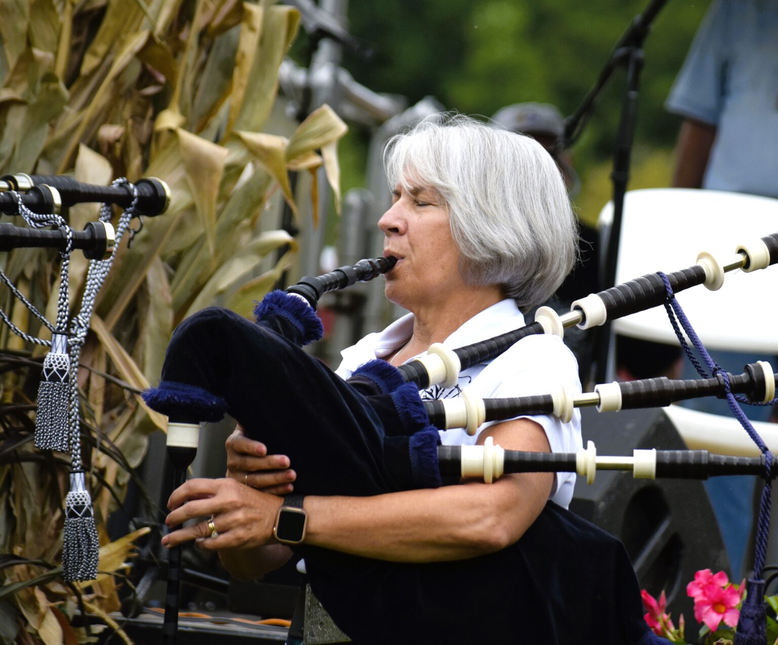 FiddleFest – Borough of Fleetwood, PA